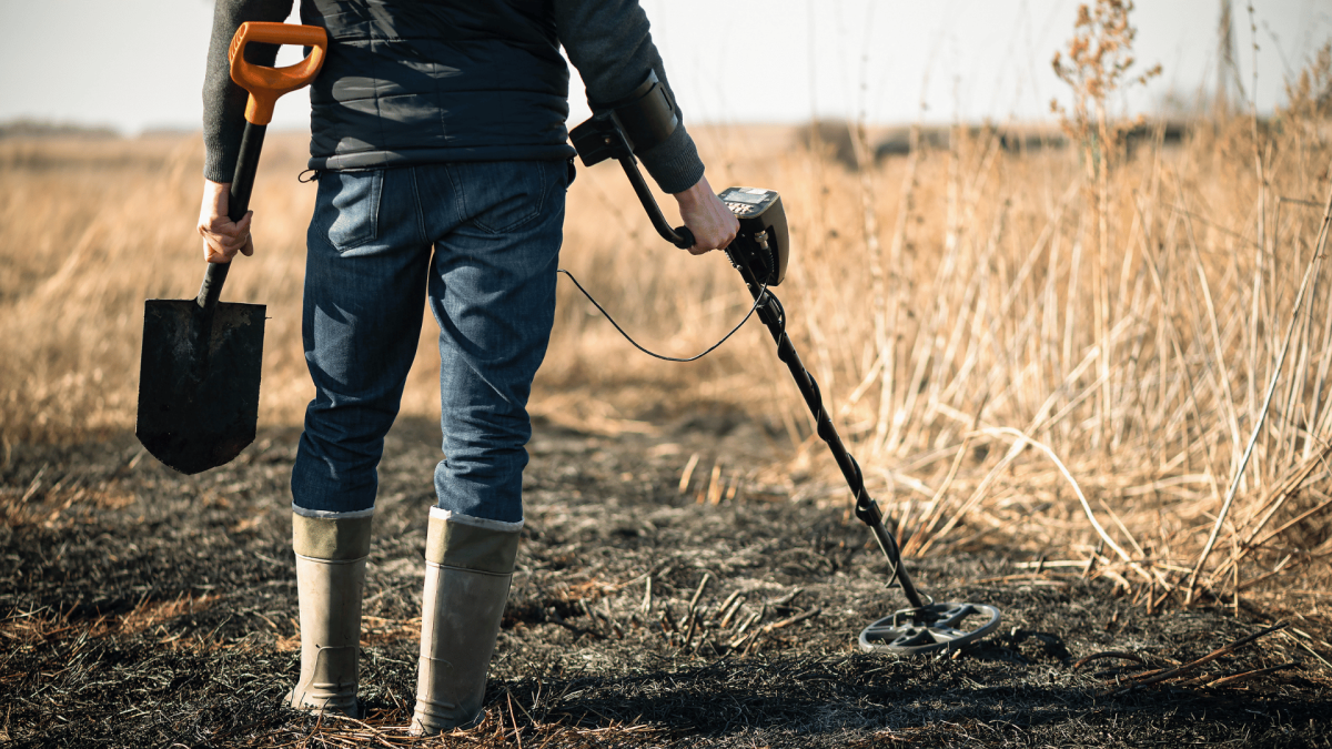 ¿Qué metales se detectan con un detector de metales? - Treasure Hunter ...
